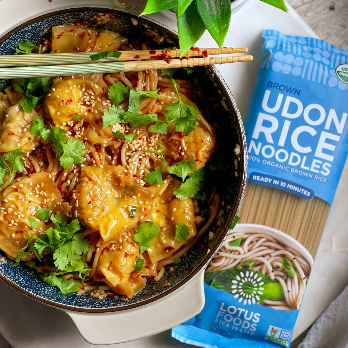 Garlic Chili Oil Wonton Noodles – Lotus Foods