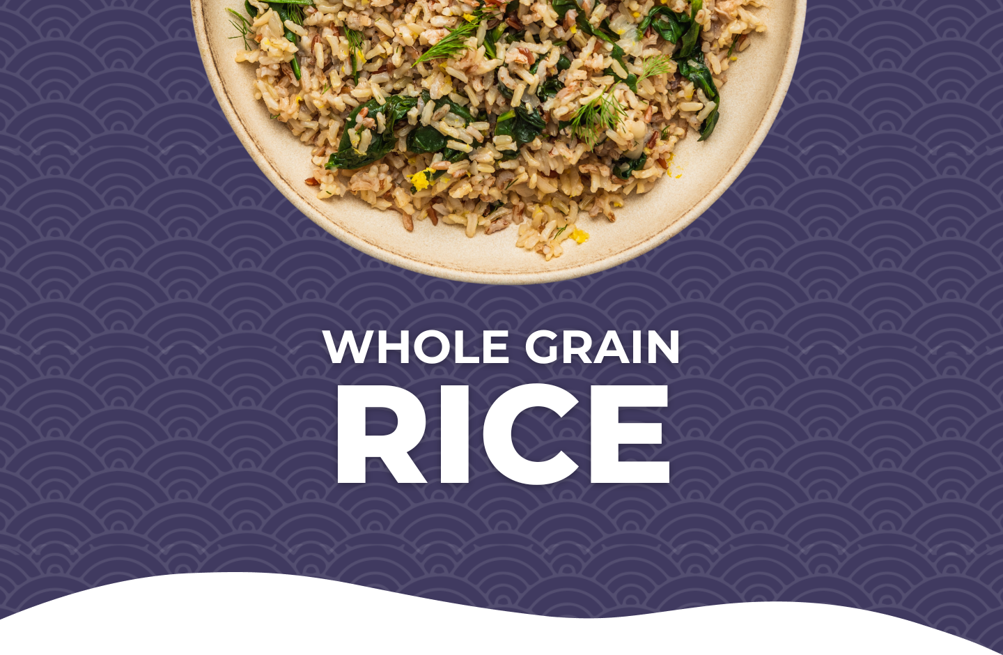 Whole Grain Rices – Lotus Foods